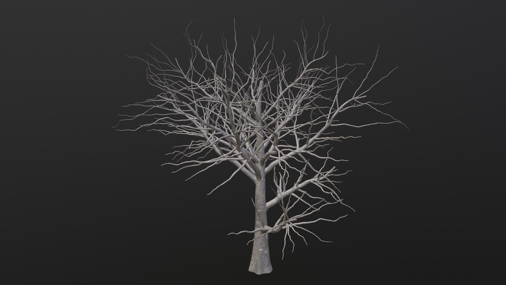 Dry Tree 3D - TurboSquid 1940045