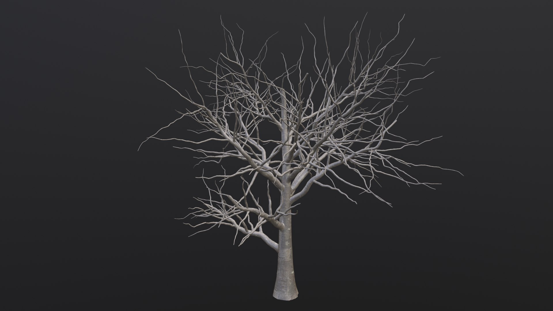 Dry Tree 3D - TurboSquid 1940045