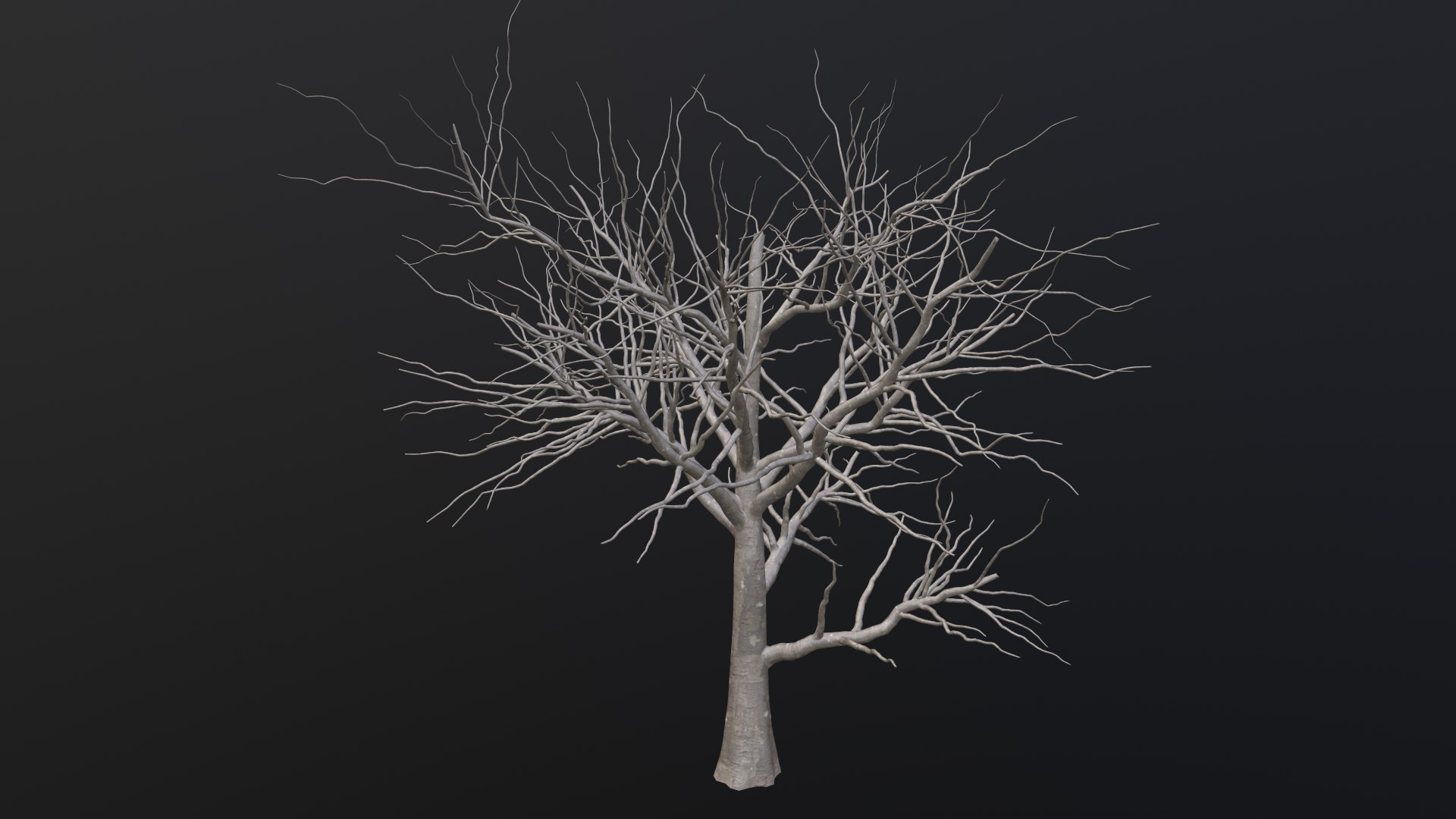 Dry Tree 3D - TurboSquid 1940045