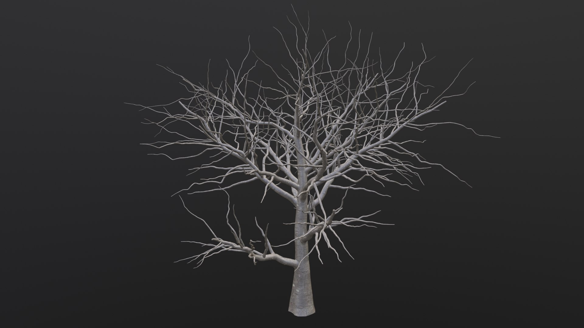 Dry Tree 3D - TurboSquid 1940045