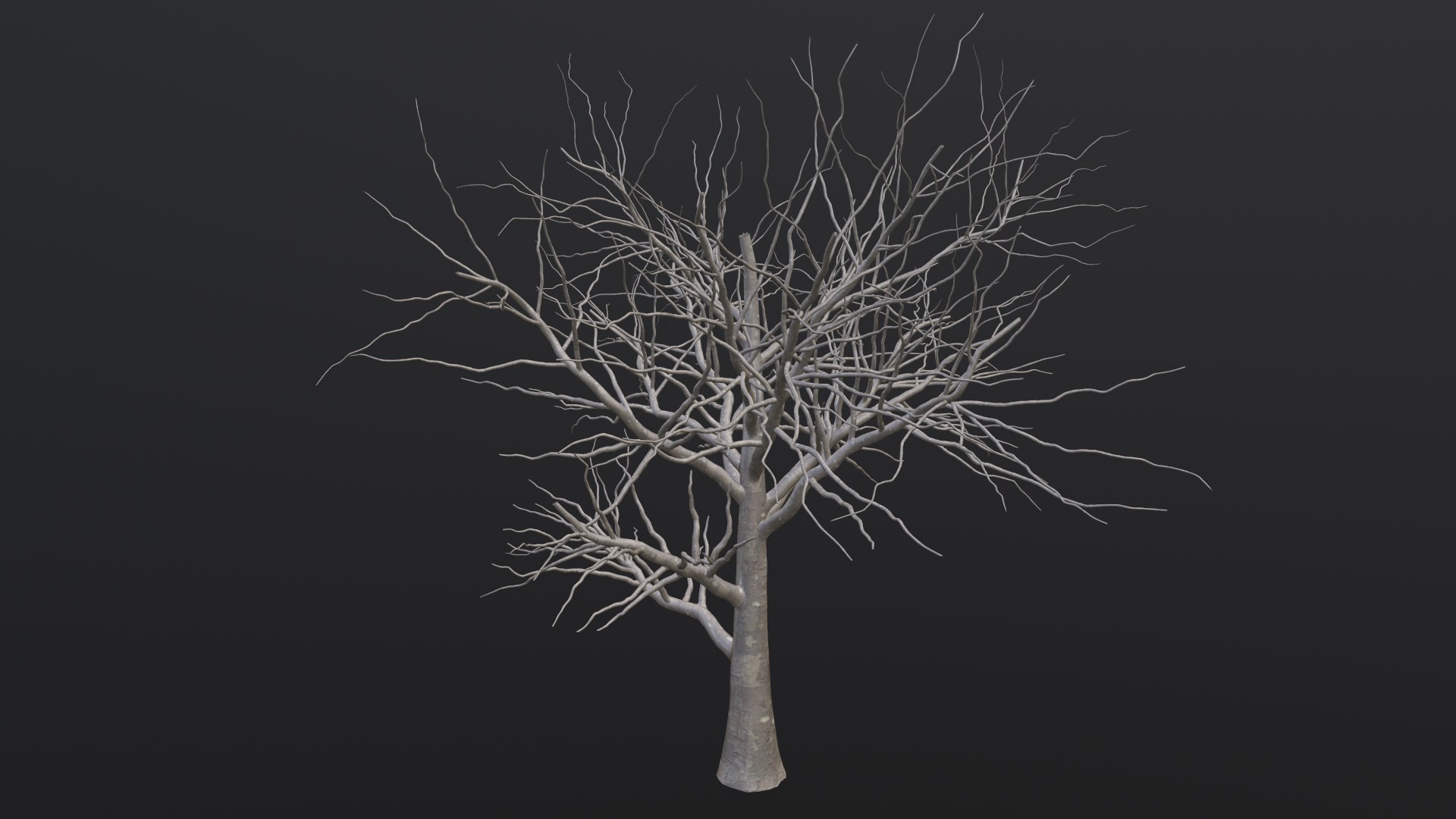Dry Tree 3D - TurboSquid 1940045