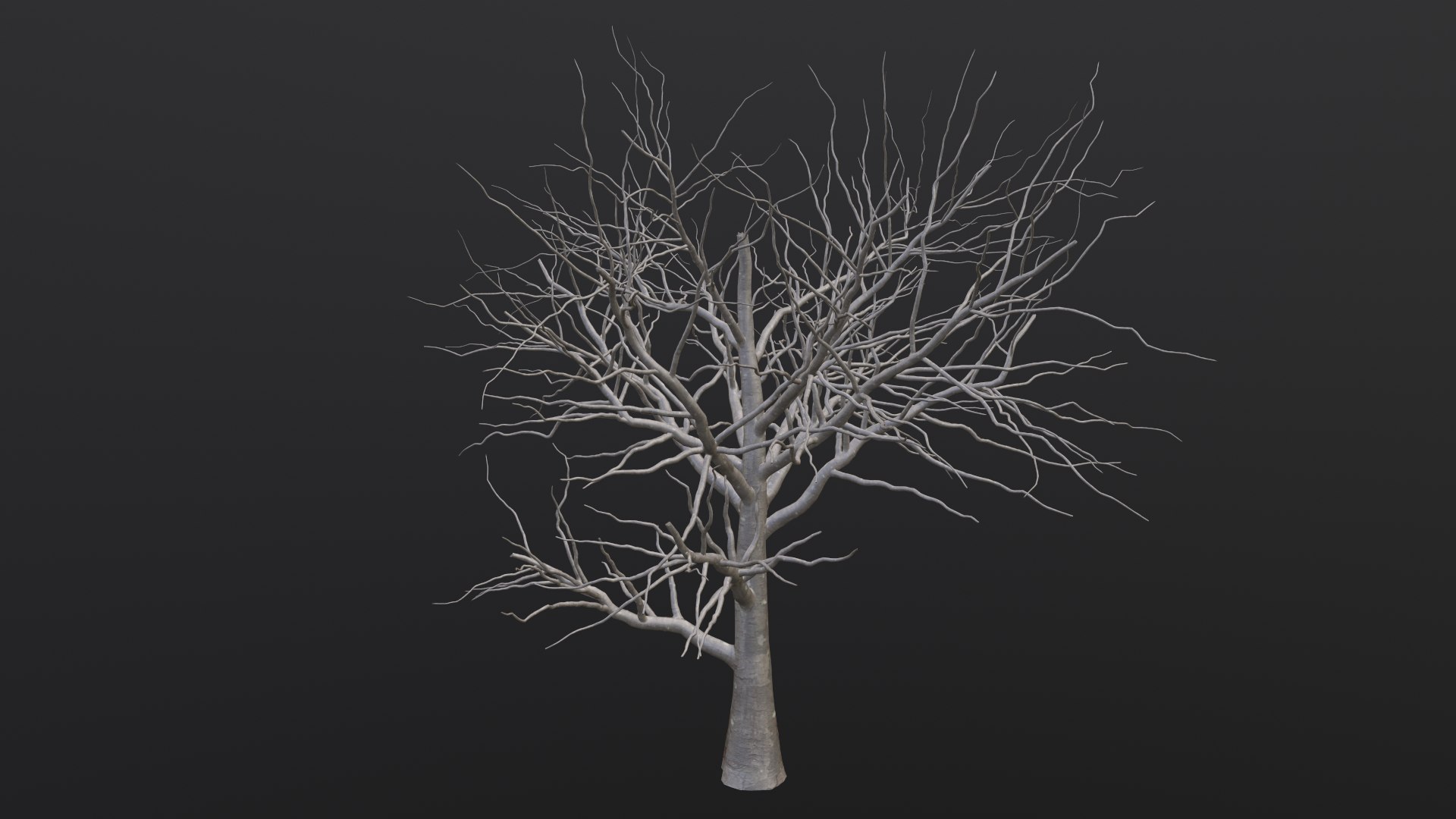 Dry Tree 3D - TurboSquid 1940045