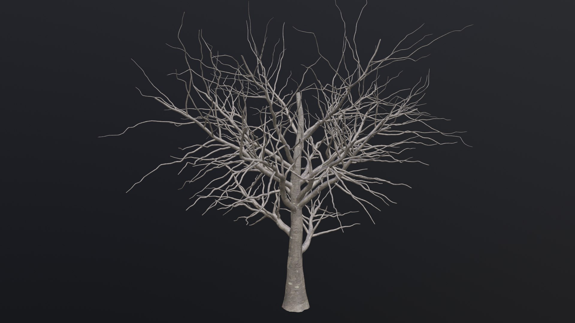 Dry Tree 3D - TurboSquid 1940045