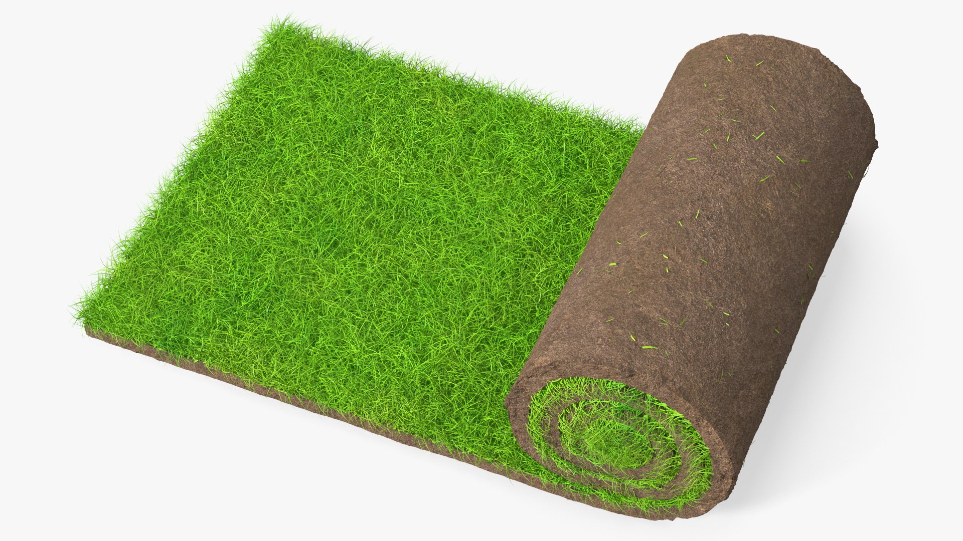 3D Lawn Turf Roll Fur model - TurboSquid 1882218