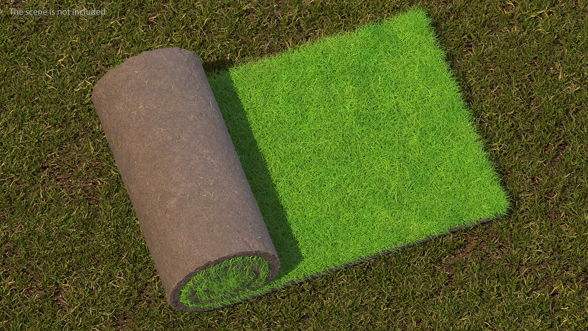 3D Lawn Turf Roll Fur model - TurboSquid 1882218
