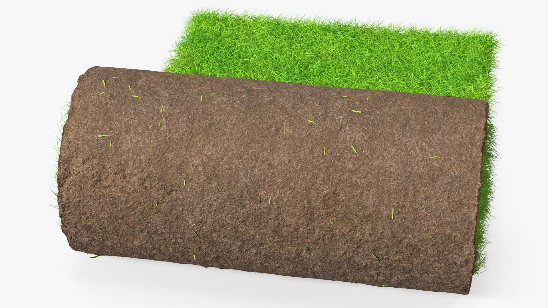 3D Lawn Turf Roll Fur model - TurboSquid 1882218
