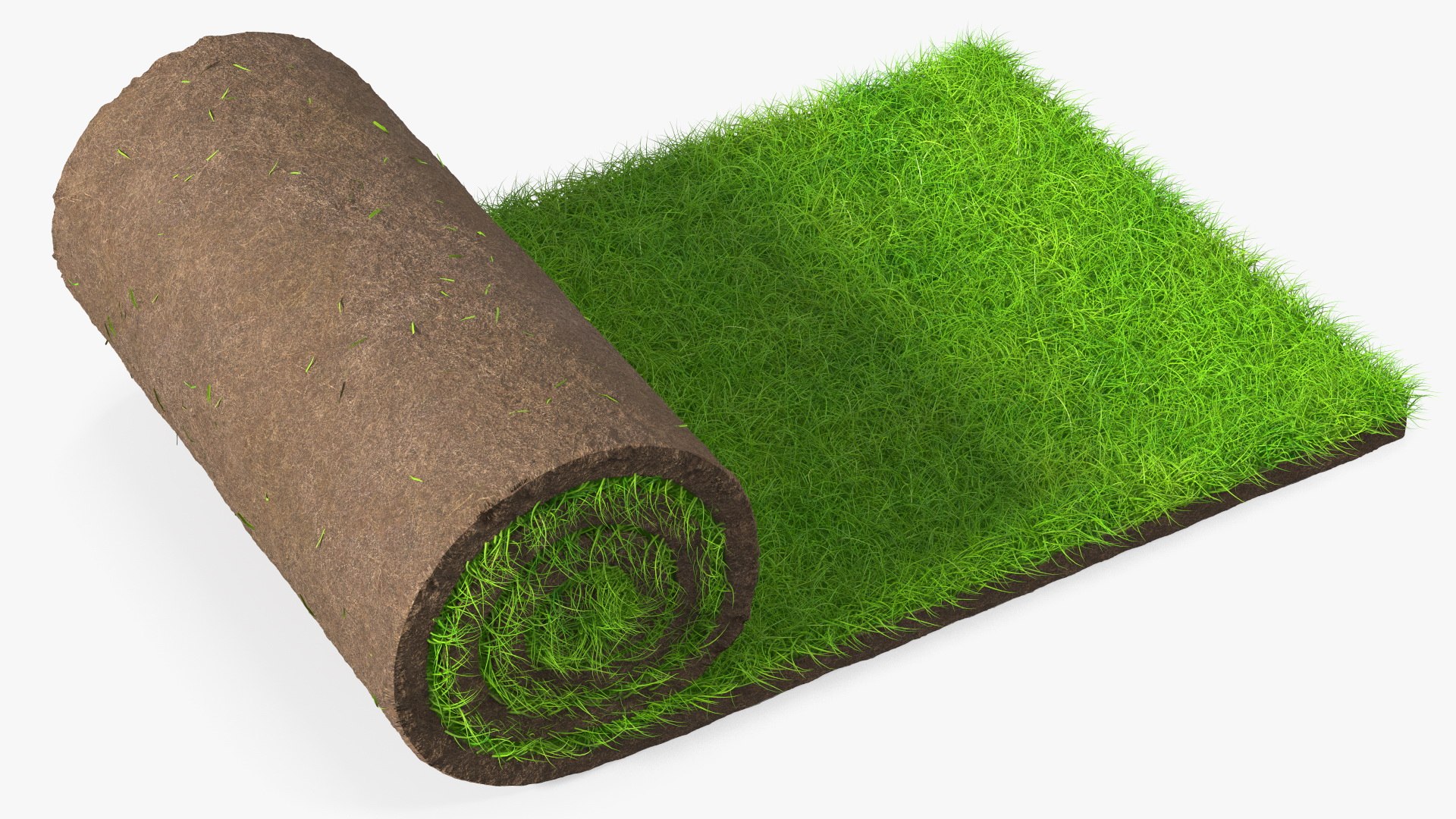 3D Lawn Turf Roll Fur model - TurboSquid 1882218