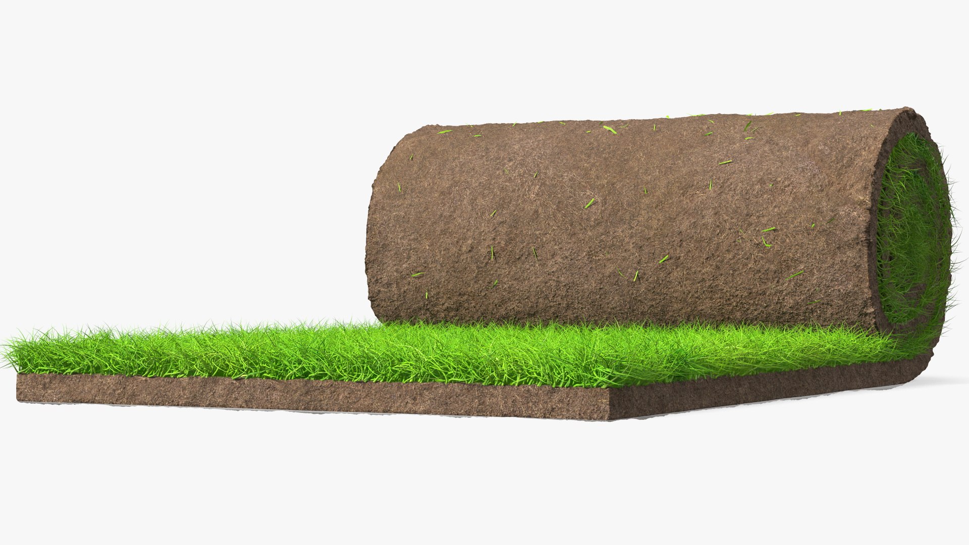 3D Lawn Turf Roll Fur model - TurboSquid 1882218