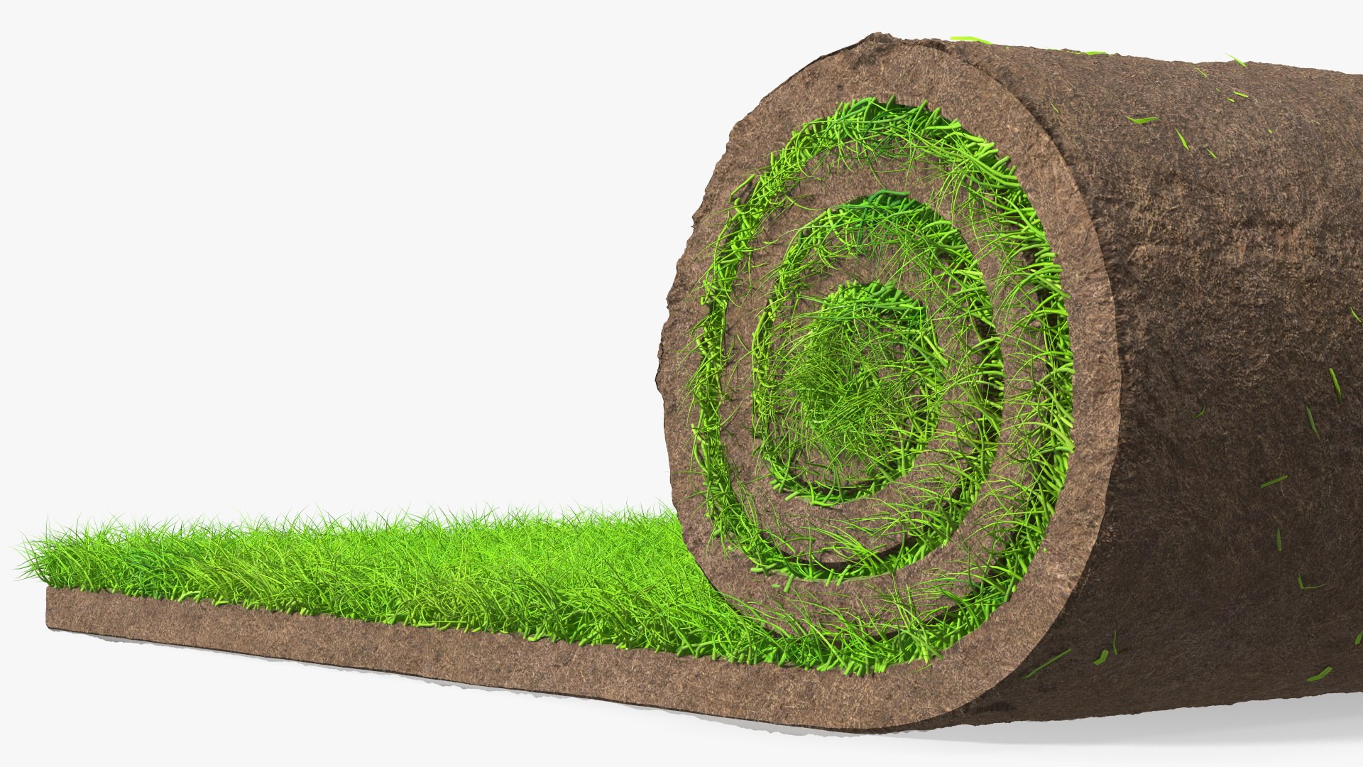 3D Lawn Turf Roll Fur model - TurboSquid 1882218