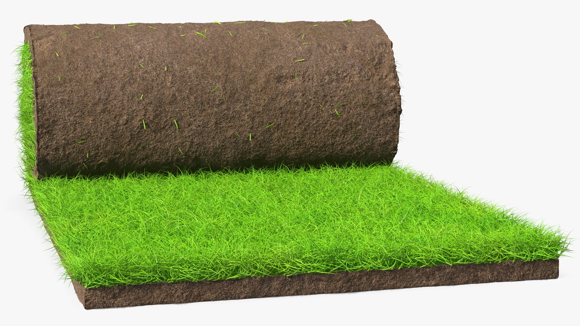 3D Lawn Turf Roll Fur model - TurboSquid 1882218