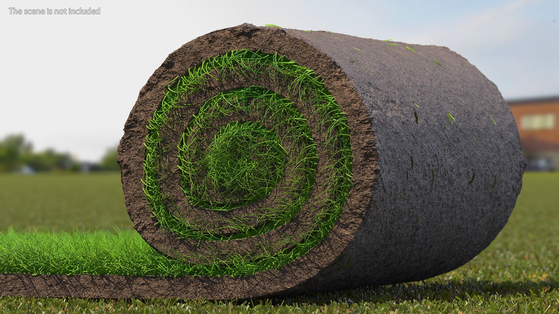 3D Lawn Turf Roll Fur model - TurboSquid 1882218