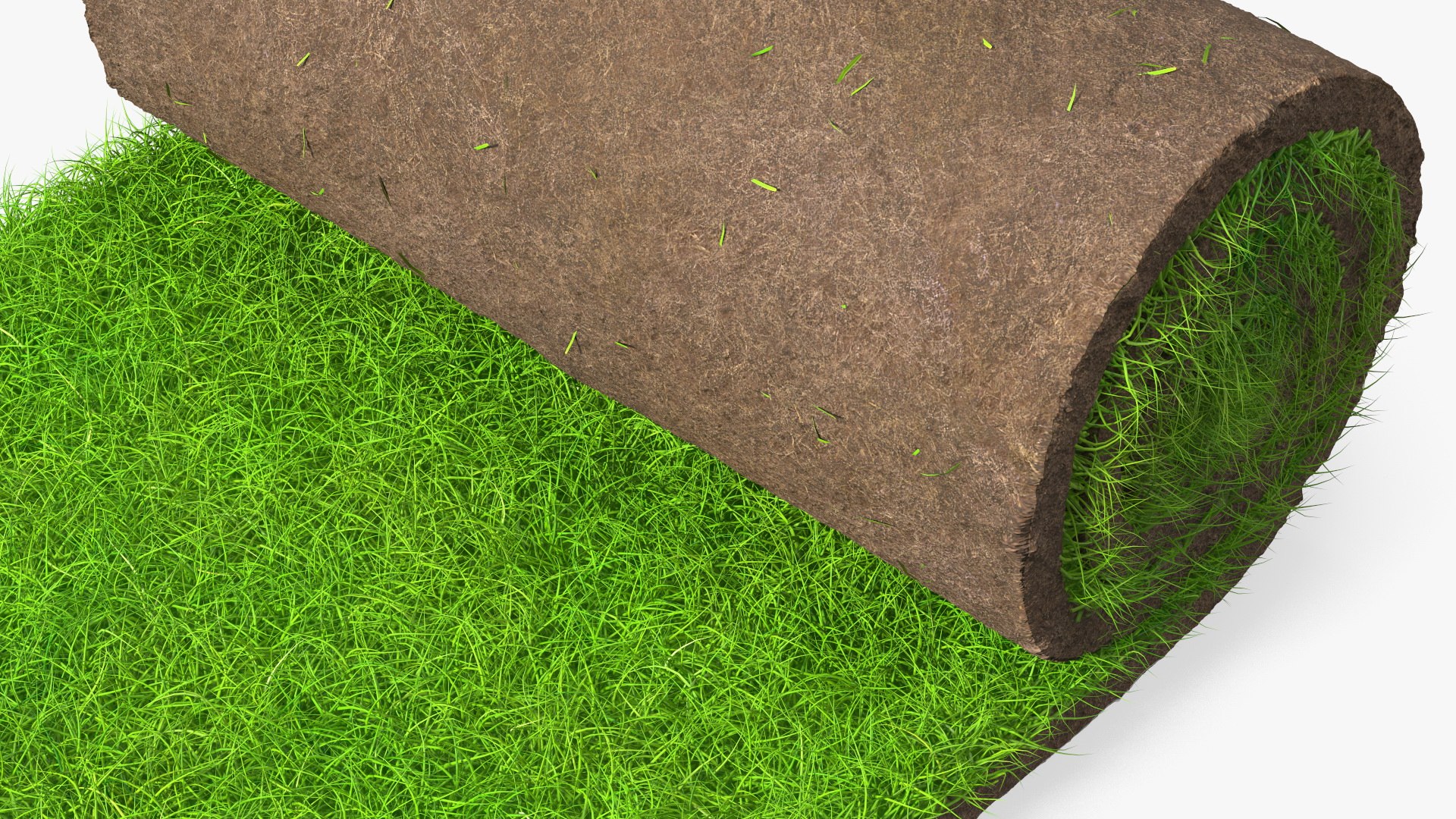 3D Lawn Turf Roll Fur model - TurboSquid 1882218