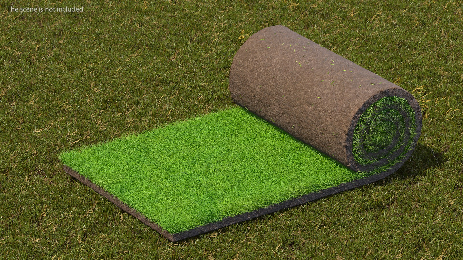 3D Lawn Turf Roll Fur model - TurboSquid 1882218