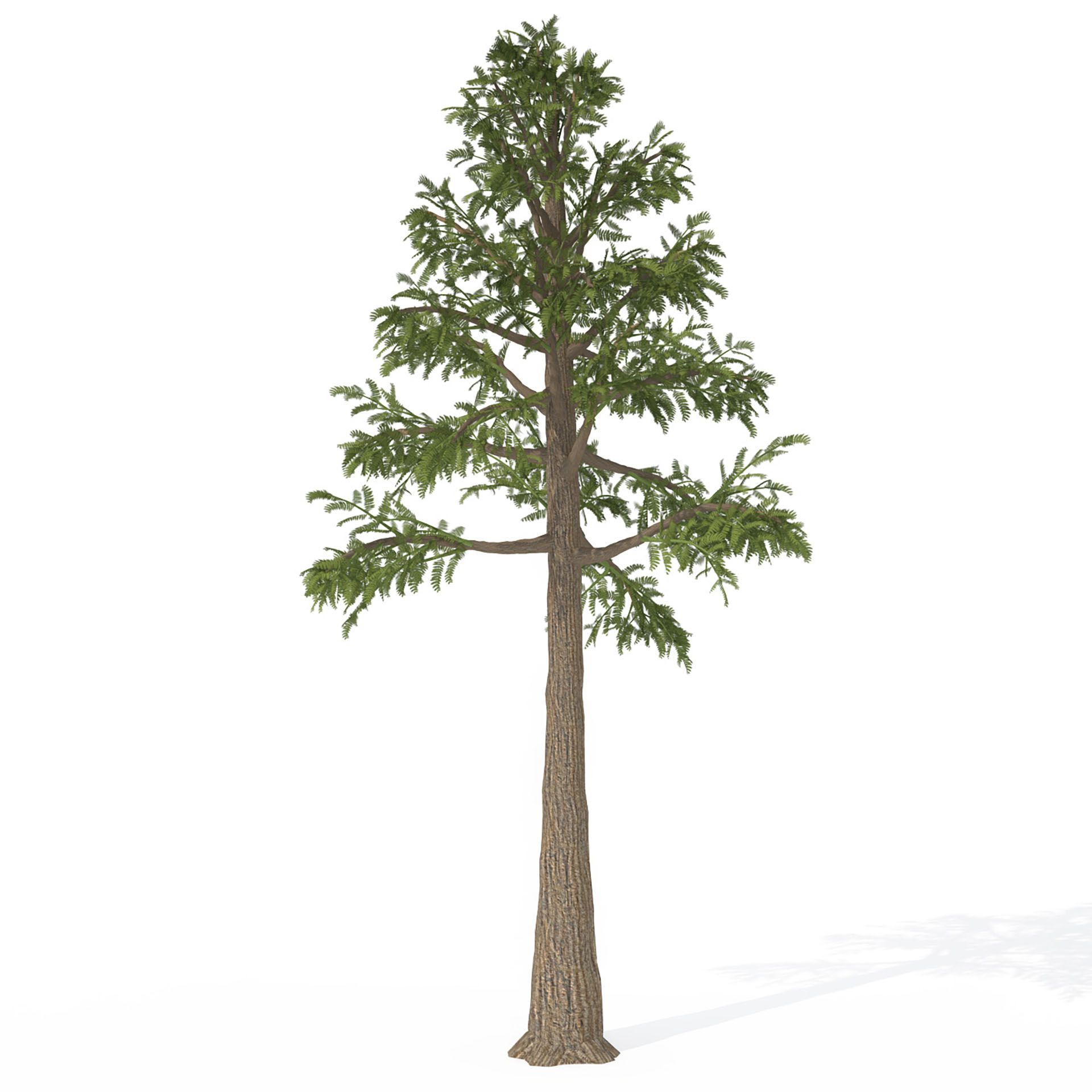 3ds max prehistoric trees plants dvd