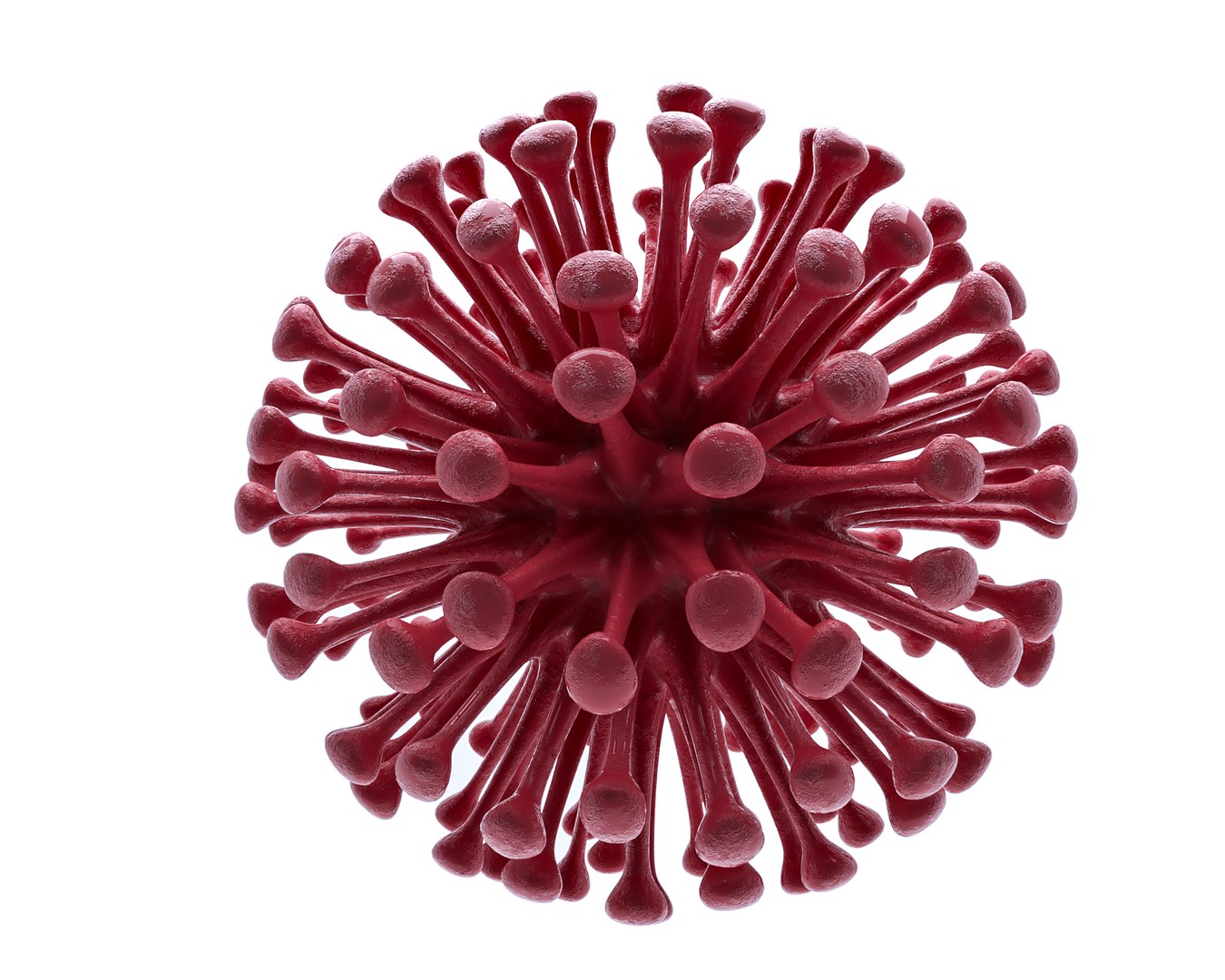 3D low-poly infection scientific model - TurboSquid 1595945