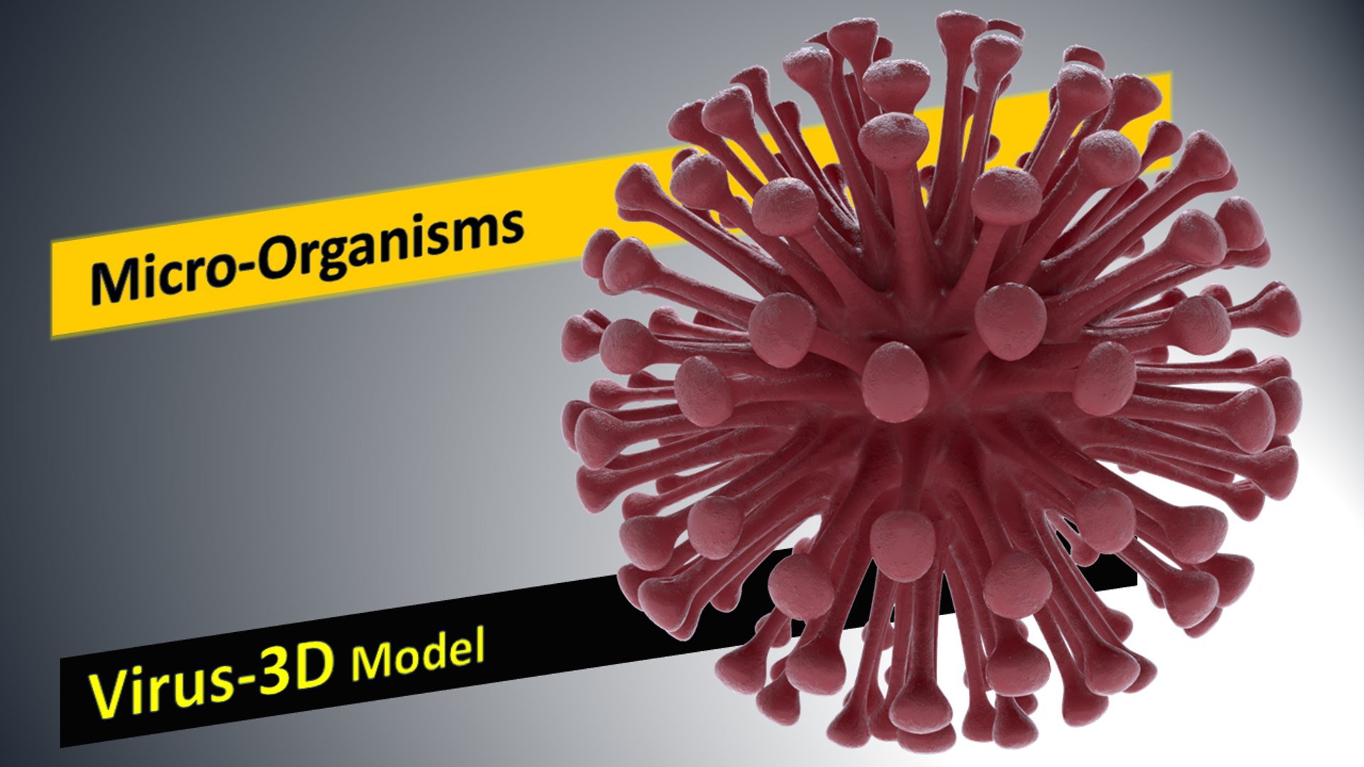 3D low-poly infection scientific model - TurboSquid 1595945