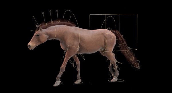3D horse blender walk - TurboSquid 1253053