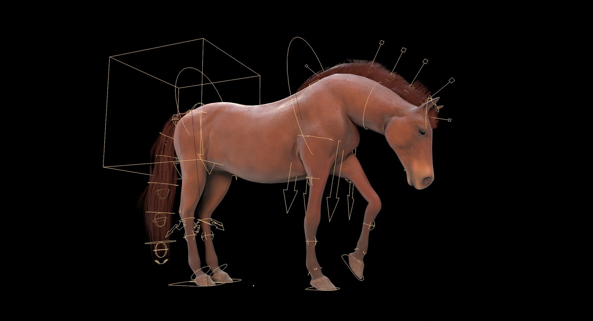3D Horse Blender Walk - TurboSquid 1253053