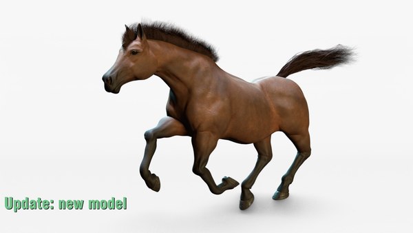 3D horse blender walk - TurboSquid 1253053