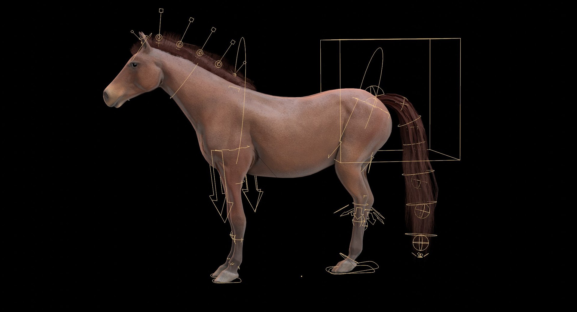 3D horse blender walk - TurboSquid 1253053