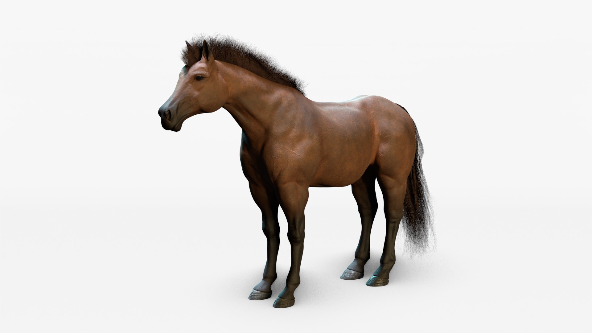 3D Horse Blender Walk - TurboSquid 1253053