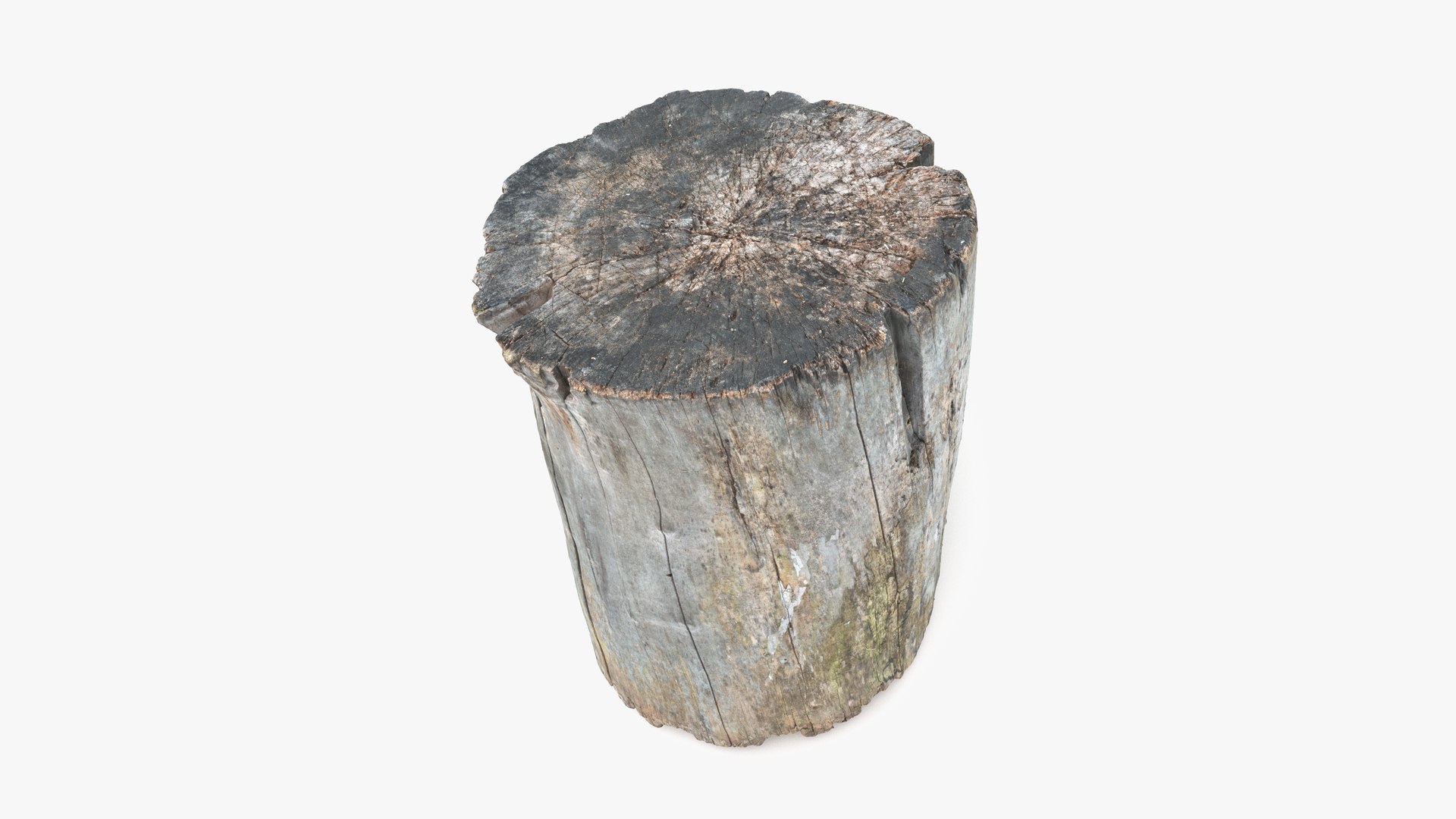 Sculpt Photorealistic 3D Model - TurboSquid 1465088