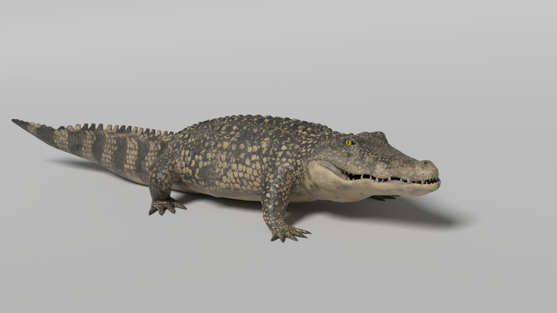 Crocodile Animated 3D - TurboSquid 2126358