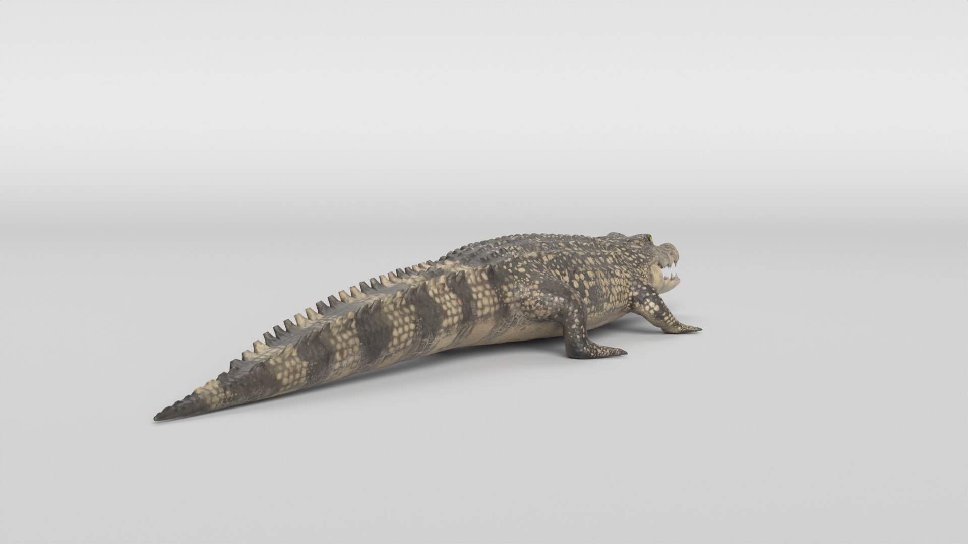 Crocodile Animated 3D - TurboSquid 2126358
