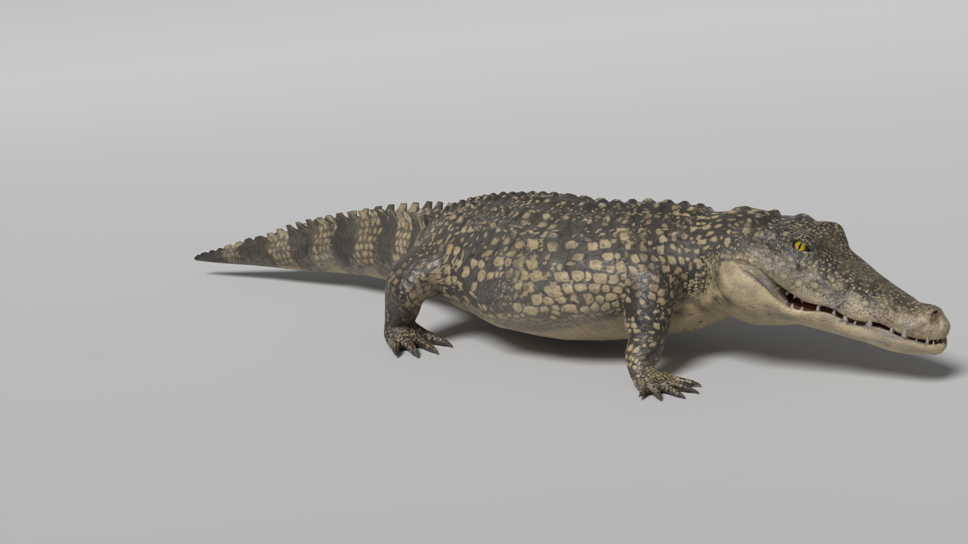Crocodile Animated 3D - TurboSquid 2126358