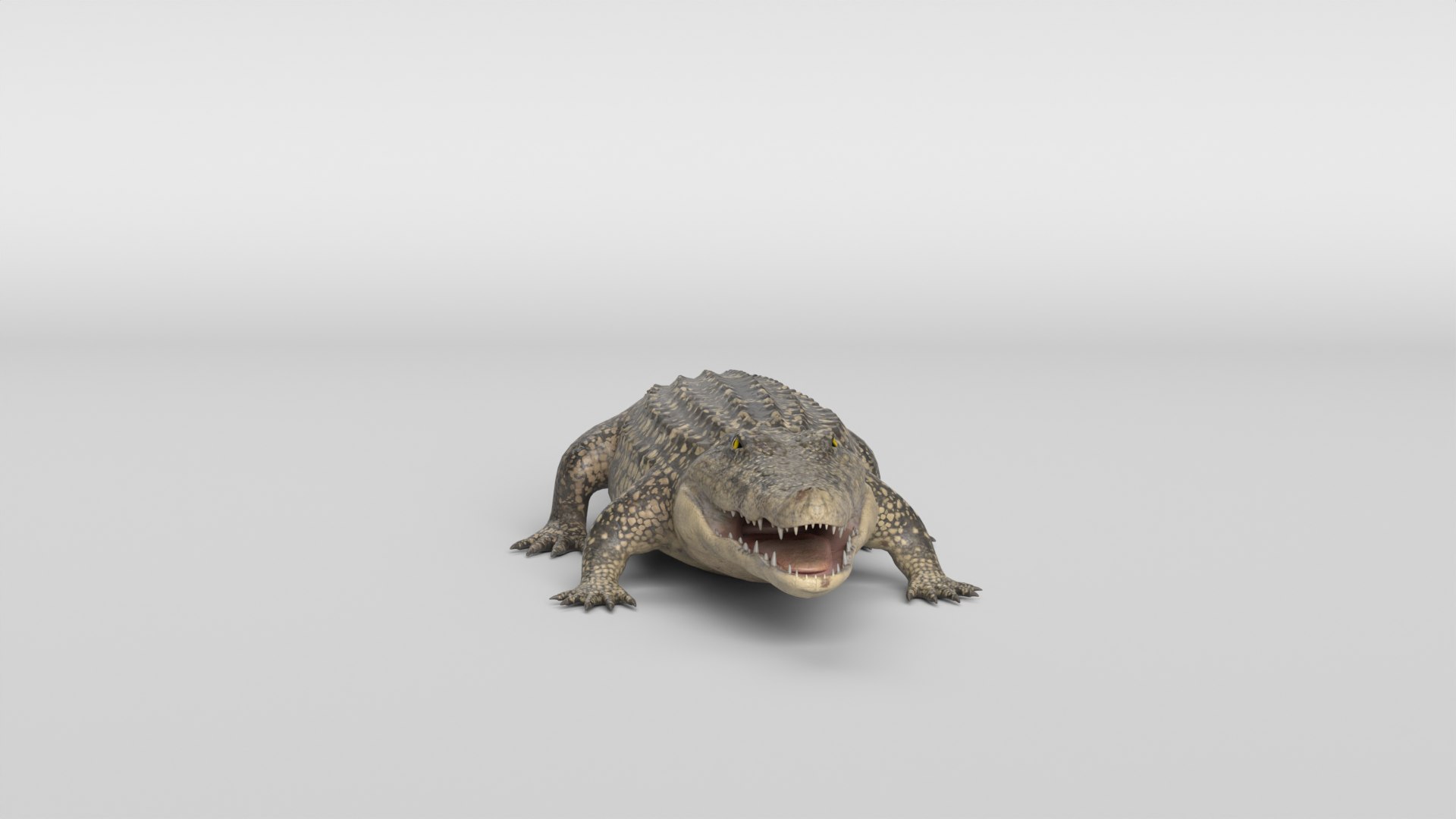 Crocodile Animated 3D - TurboSquid 2126358