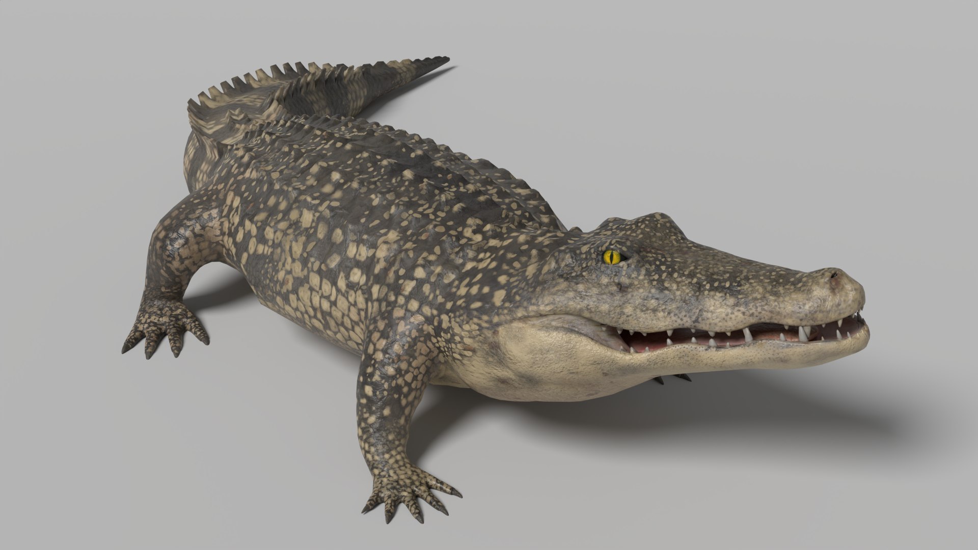 Crocodile Animated 3D - TurboSquid 2126358