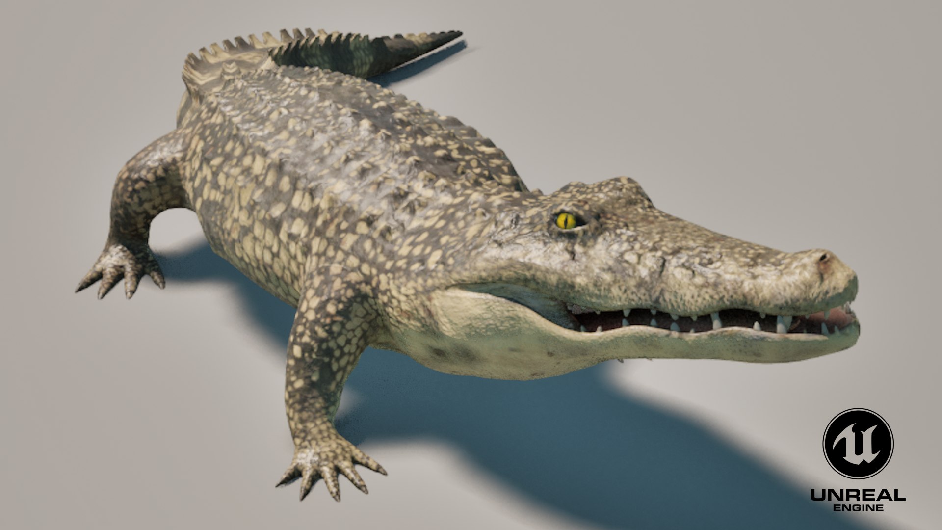 Crocodile Animated 3D - TurboSquid 2126358