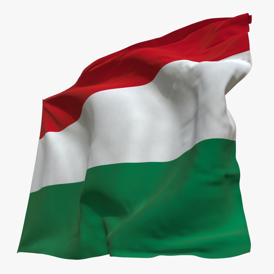 Realistic Animated Flag - Microtexture Rigged - Put Your Own Texture ...