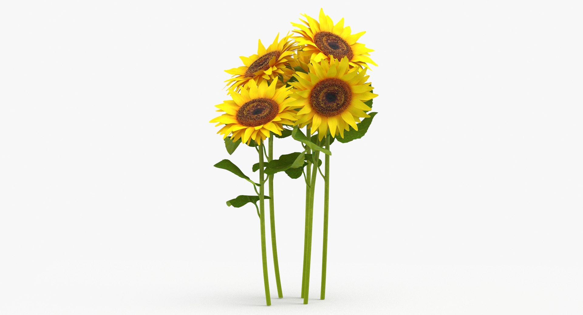 3D Prop Sunflowers Type 03 - TurboSquid 2237504