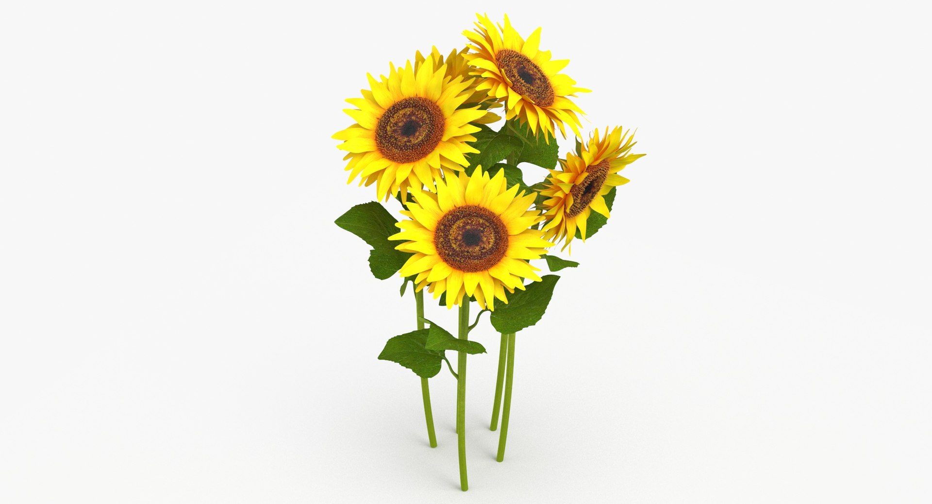 3D Prop Sunflowers Type 03 - TurboSquid 2237504