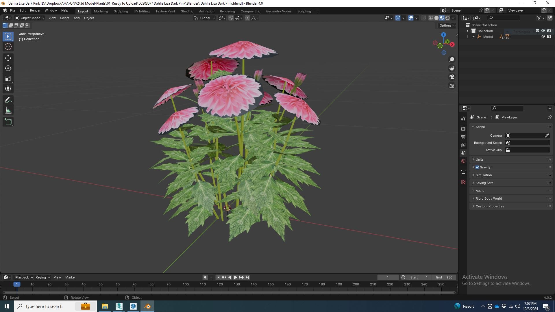 Dahlia Lisa Dark Pink 3D Model - TurboSquid 2289055