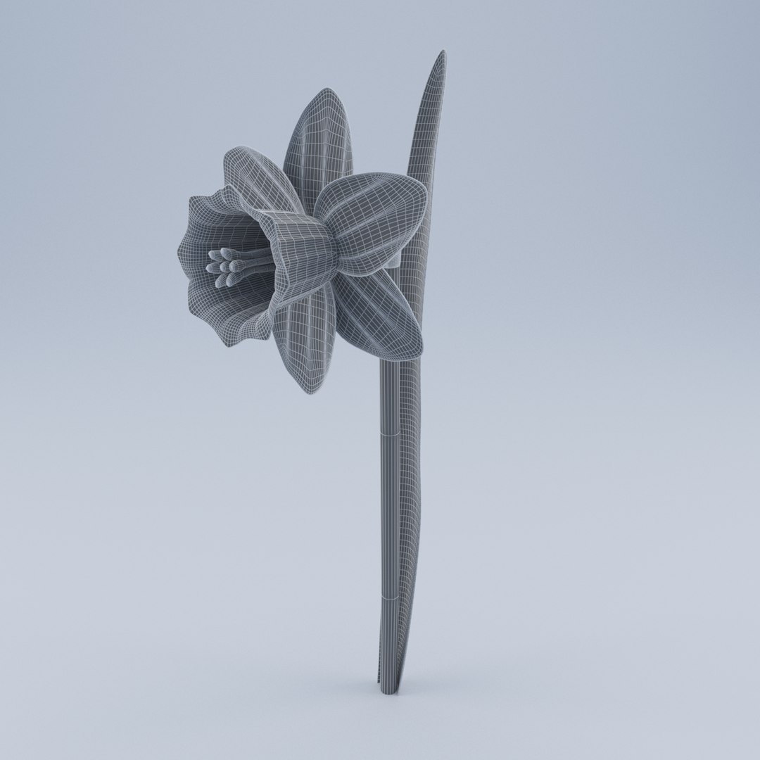 Narcissus Metal Model - TurboSquid 1685783