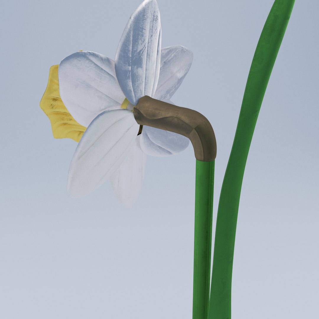 Narcissus Metal Model - TurboSquid 1685783
