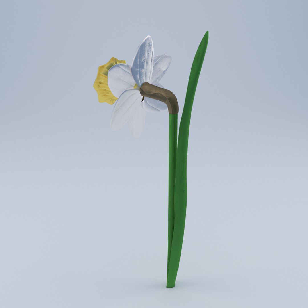 Narcissus Metal Model - TurboSquid 1685783