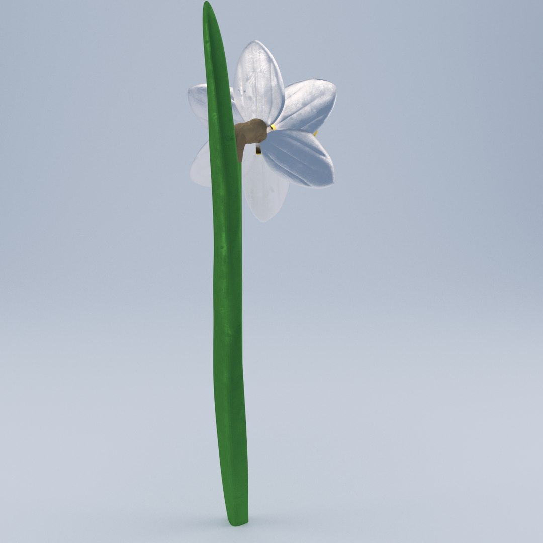 Narcissus Metal Model - TurboSquid 1685783