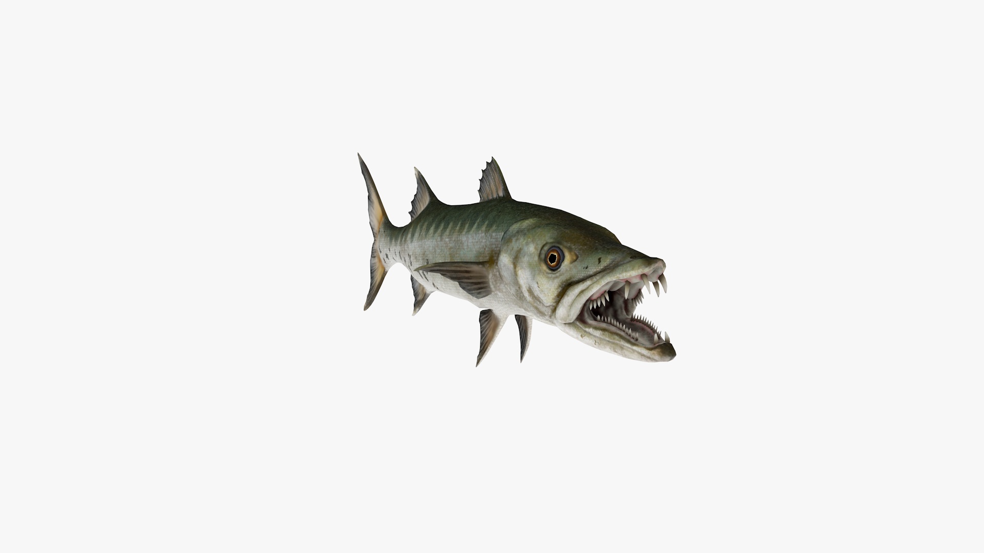 2in1 Barracuda Rigged And Animated 3D Model - TurboSquid 2335507