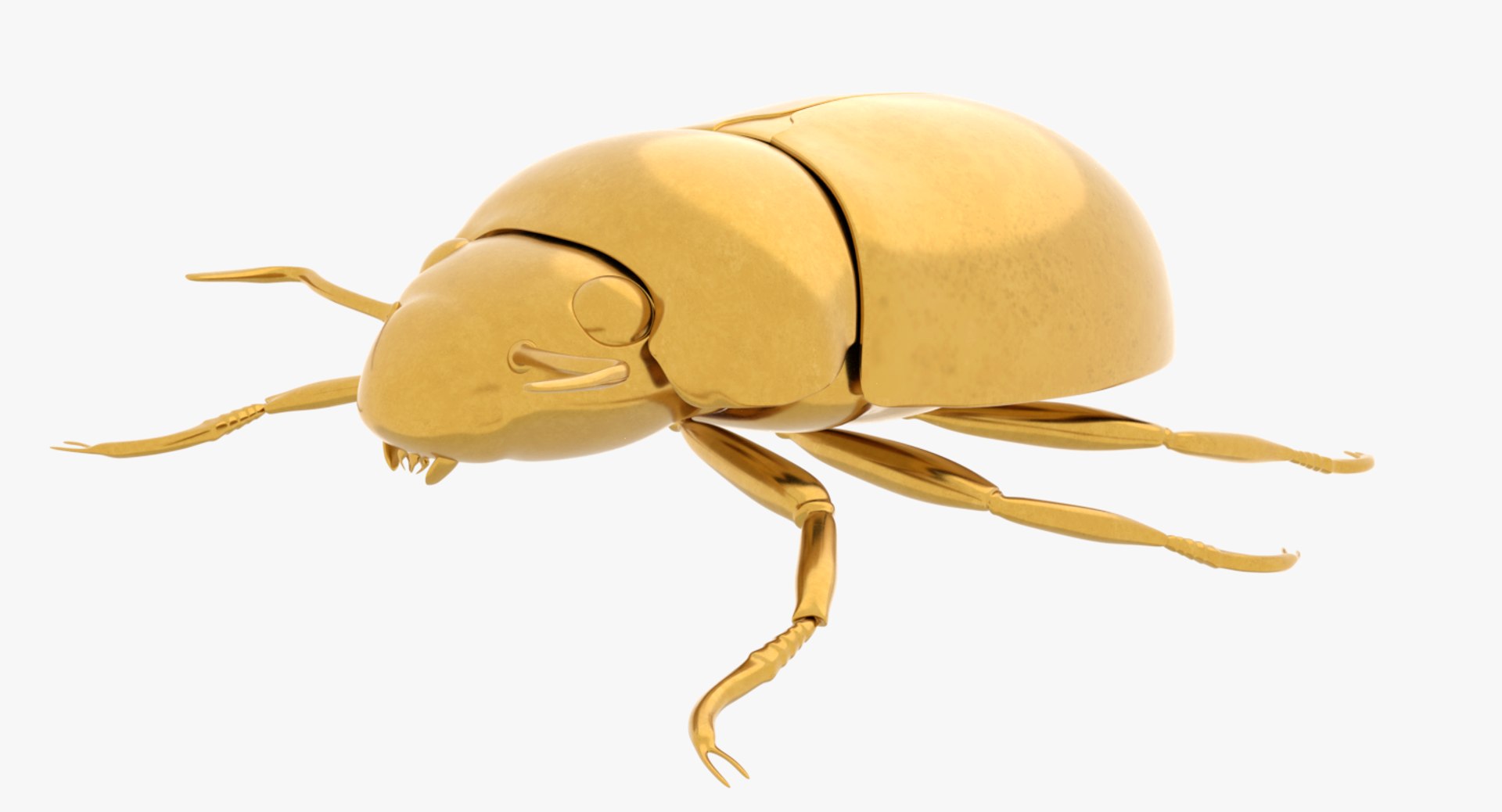 Gold Scarab Beetle 3D Model - TurboSquid 1286857