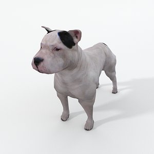 3D Pitbull Models - Browse & Download Formats - TurboSquid