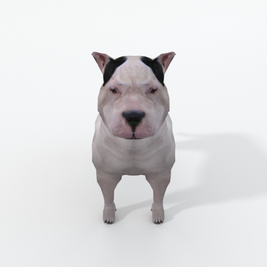 3D pitbull model - TurboSquid 1346808