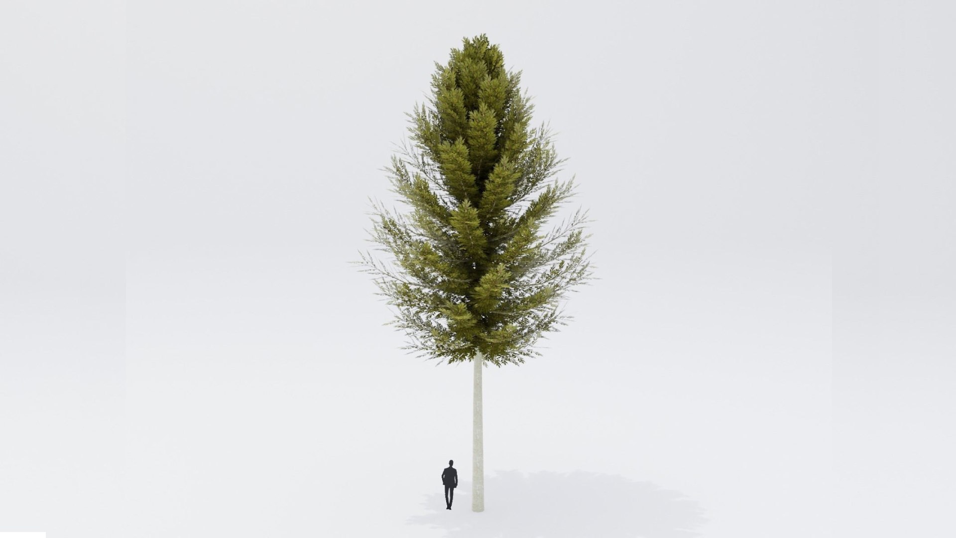 3D Low Poly Trees Pack Model - TurboSquid 1949710