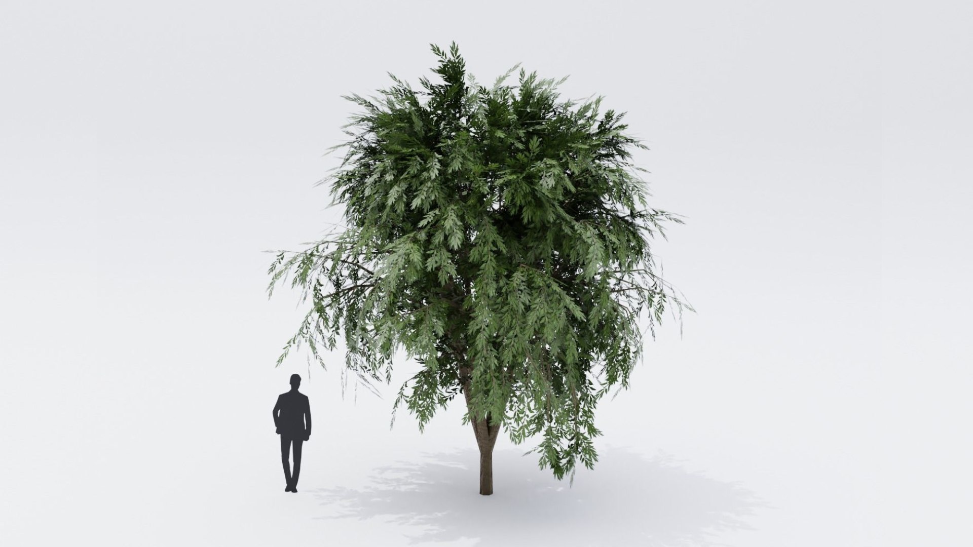 3D Low Poly Trees Pack Model - TurboSquid 1949710