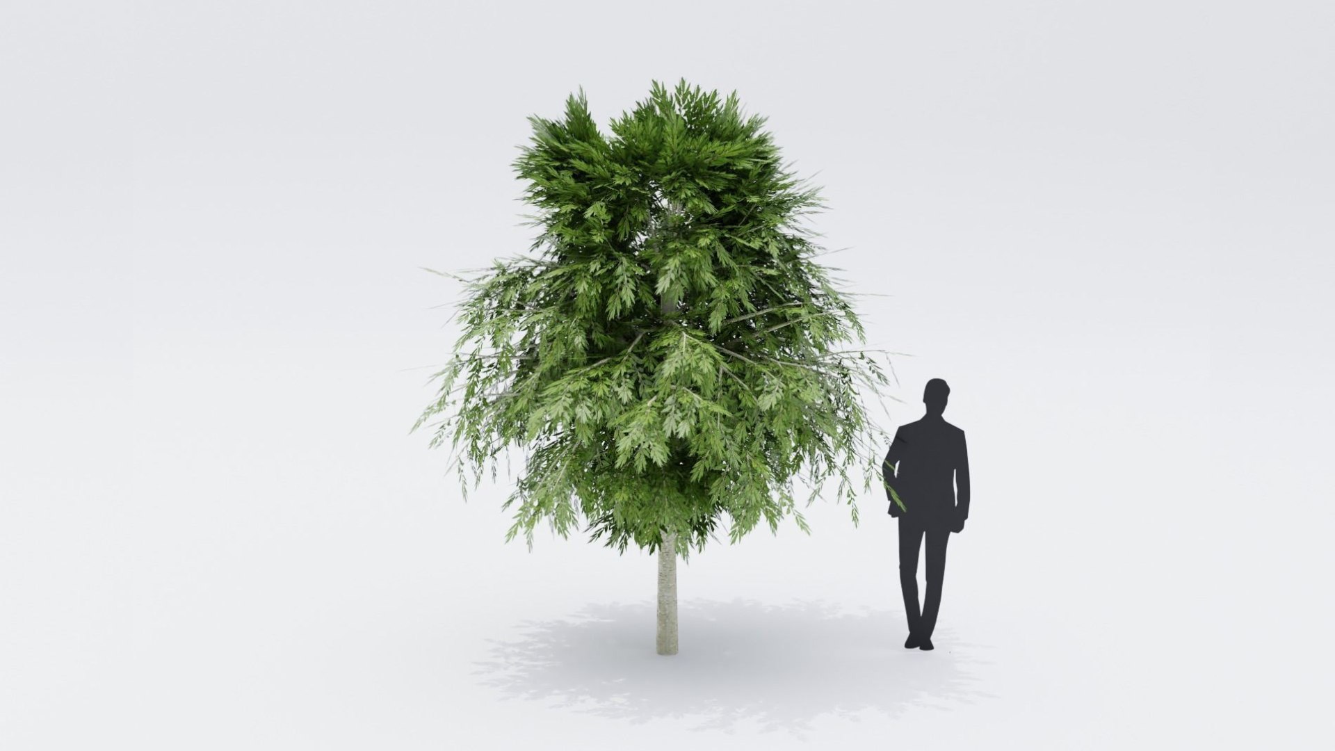 3D Low Poly Trees Pack Model - TurboSquid 1949710