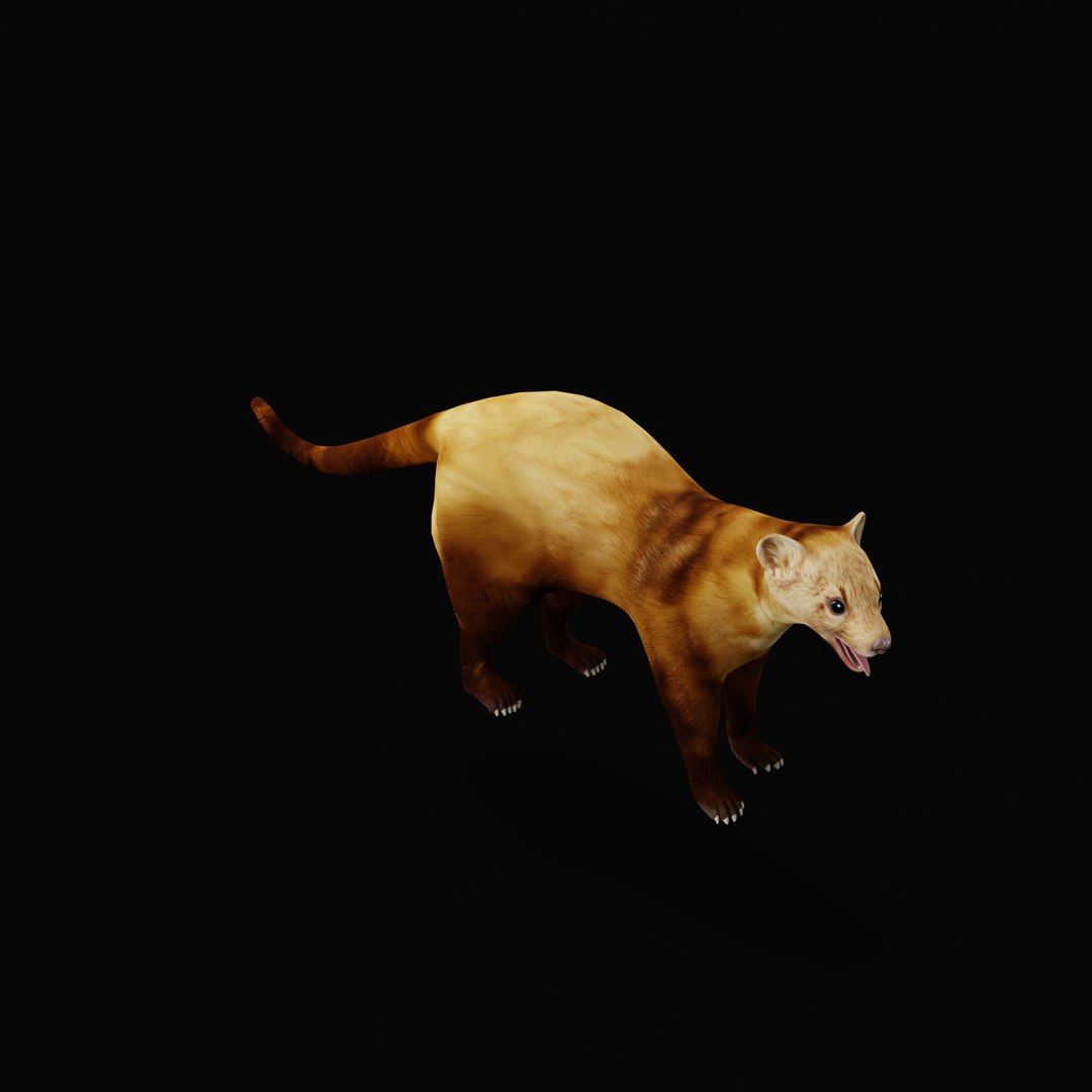 3D American Pine Marten Model - TurboSquid 2259138