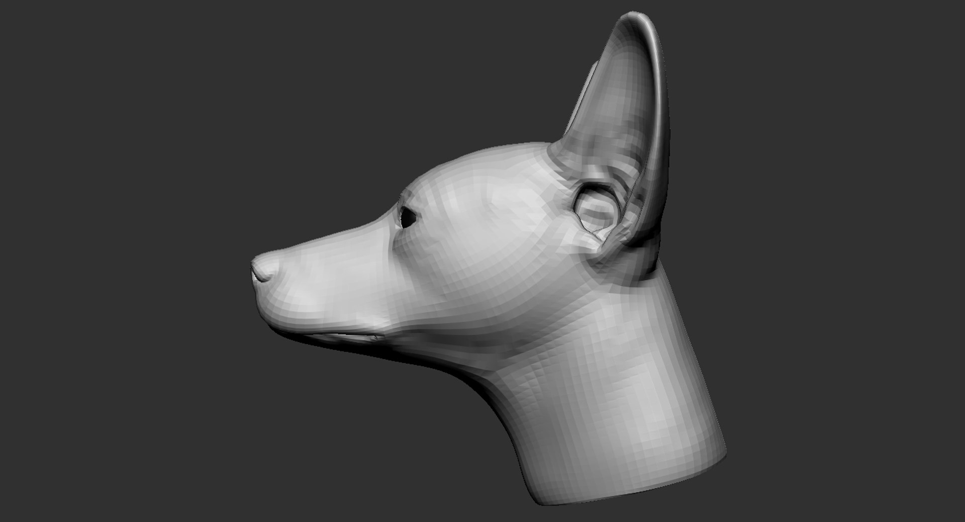 Dog Head Base Mesh 3D - TurboSquid 1427338