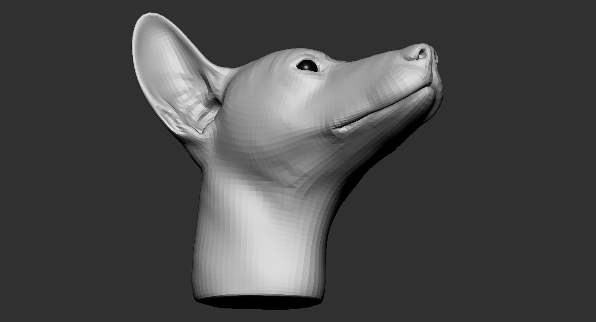 Dog Head Base Mesh 3D - TurboSquid 1427338